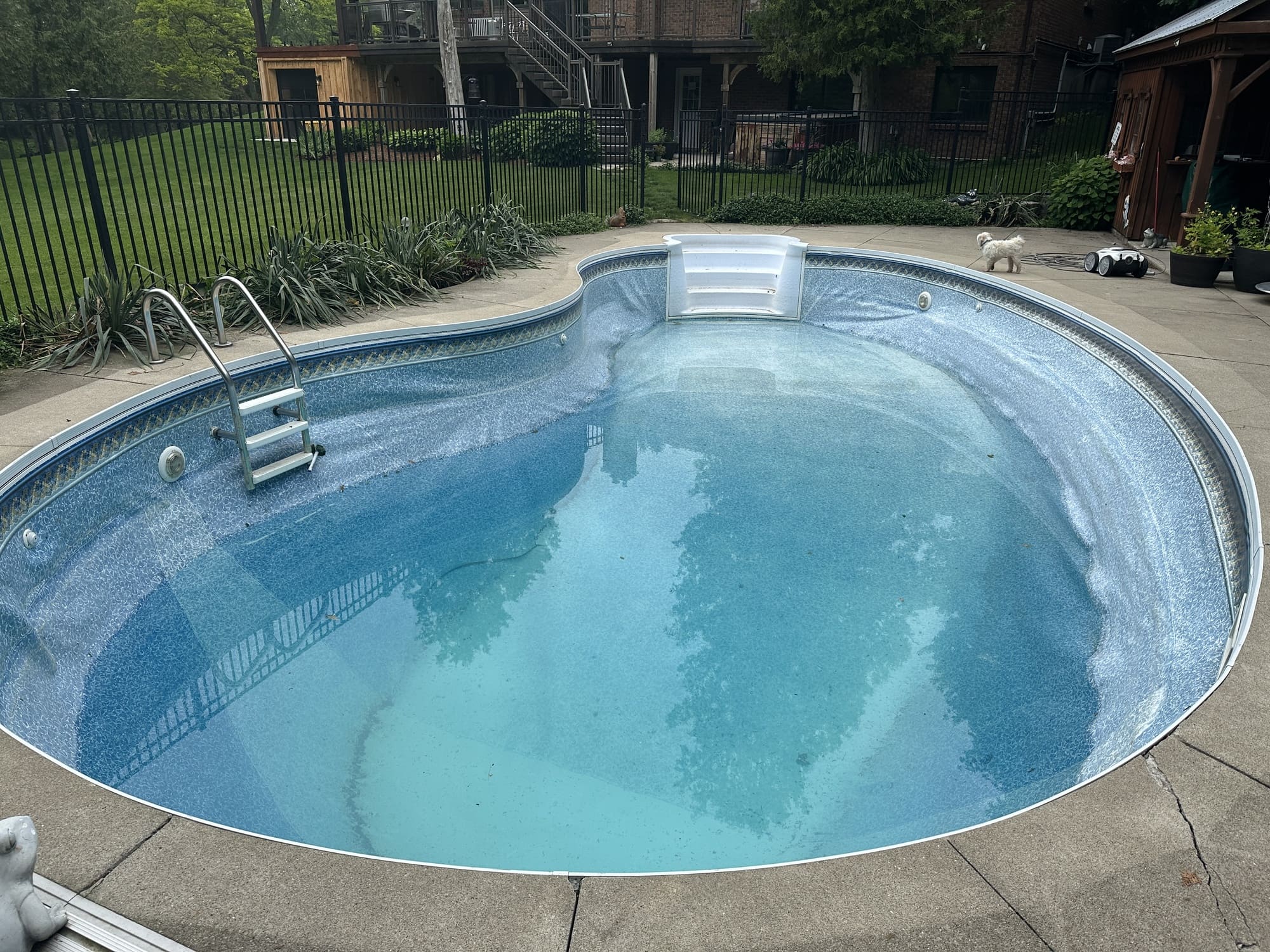 Pool Installation & Service In Kitchener, Waterloo, Cambridge, Guelph